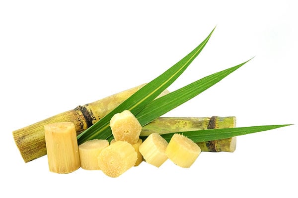 Cane Sugar